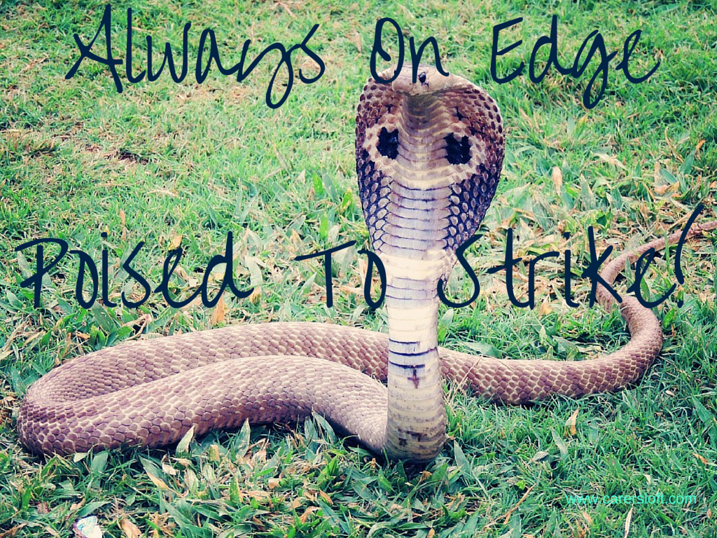 Complex Post Traumatic Stress Disorder With A Distortion In Views Has ...